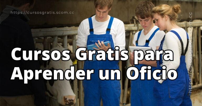 Cursos Gratis para Aprender un Oficio 2024 ⚡ Cursos Gratis para Aprender un Oficio 2024 ⚡